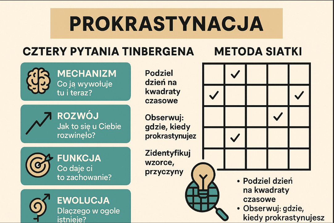 Metoda siatki - PROKRASTYNACJA - Projekt LB
